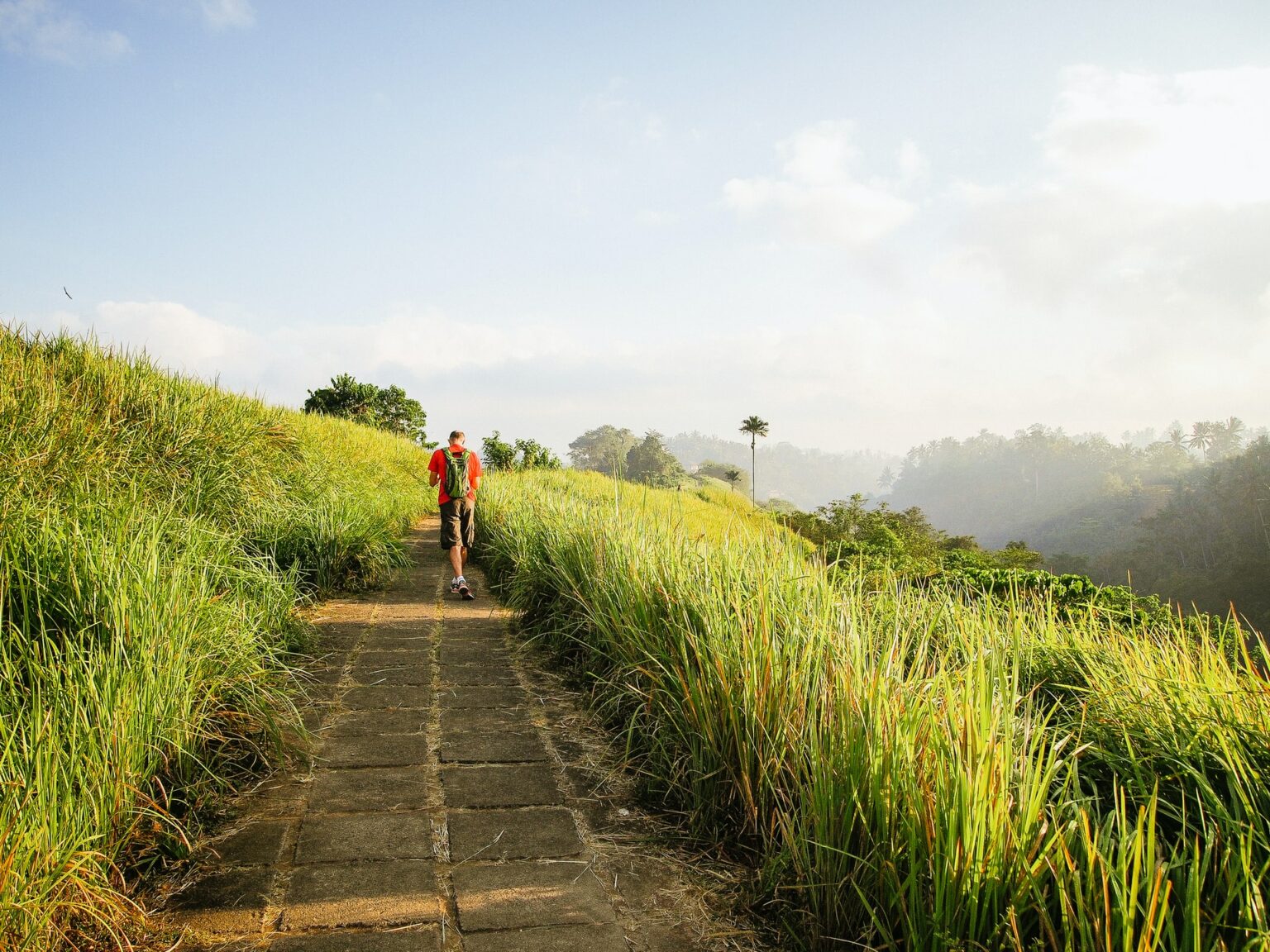 Campuhan Ridge Walk as a place of interest in Ubud.
